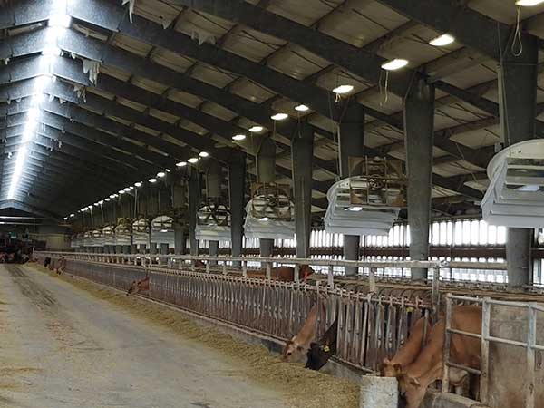 Barn Comfort & Care | Northland Farm Systems | Owatonna, MN | Farm and ...